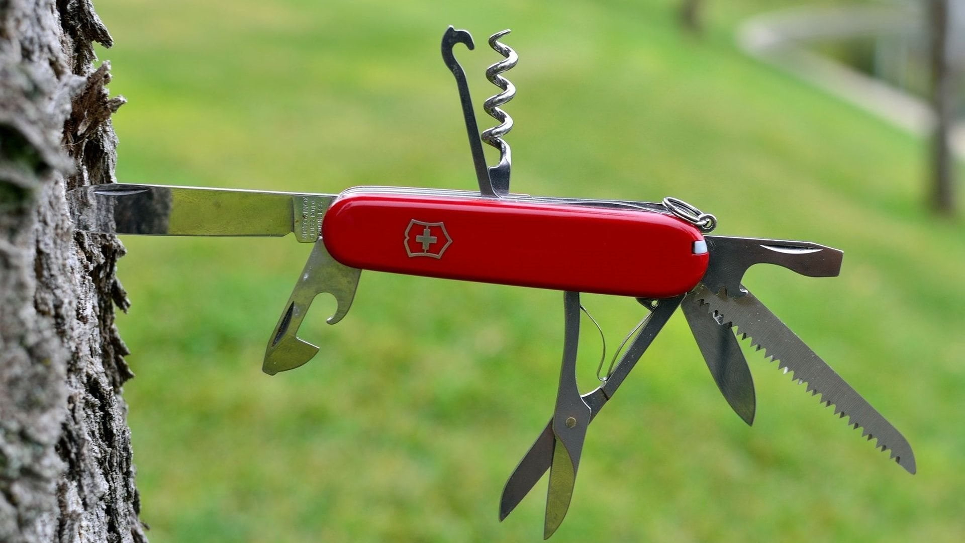 Liderança e o Canivete Suíço - Ponte ao Futuro